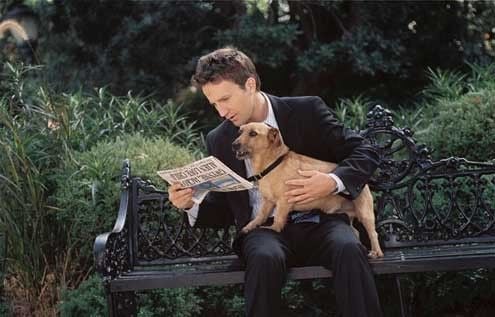 Garfield 2 resimleri - Fotoğraf 1 - Beyazperde.com