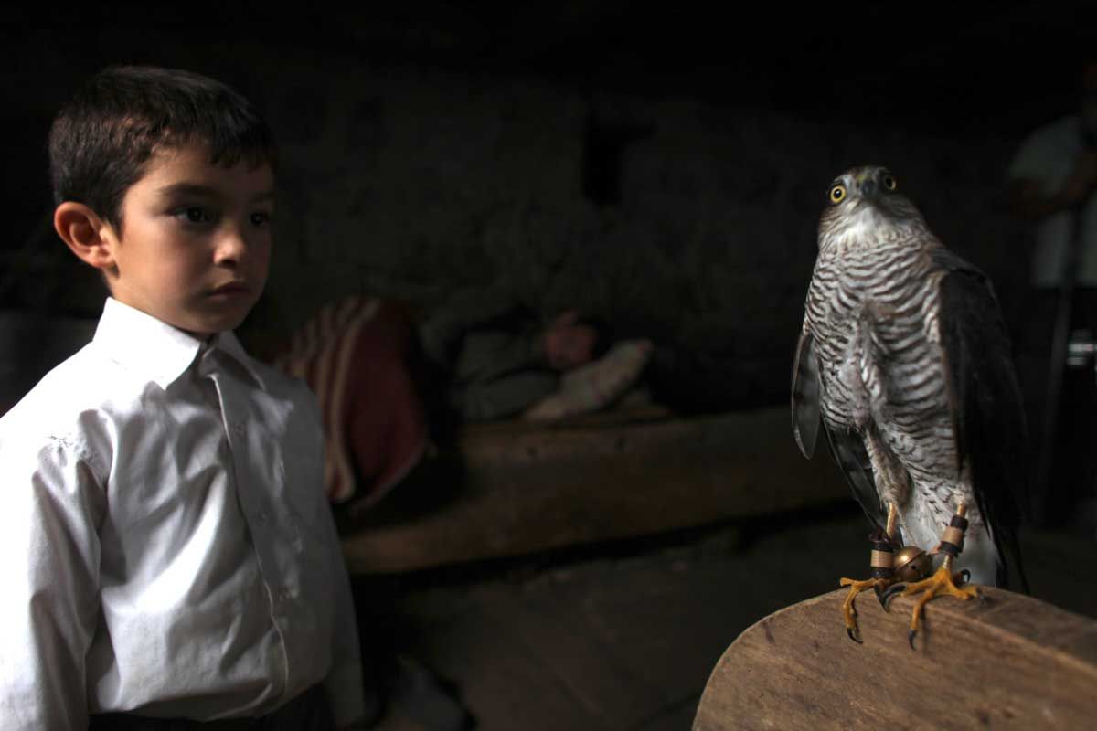 Bal resimleri - Fotoğraf 4 - Beyazperde.com