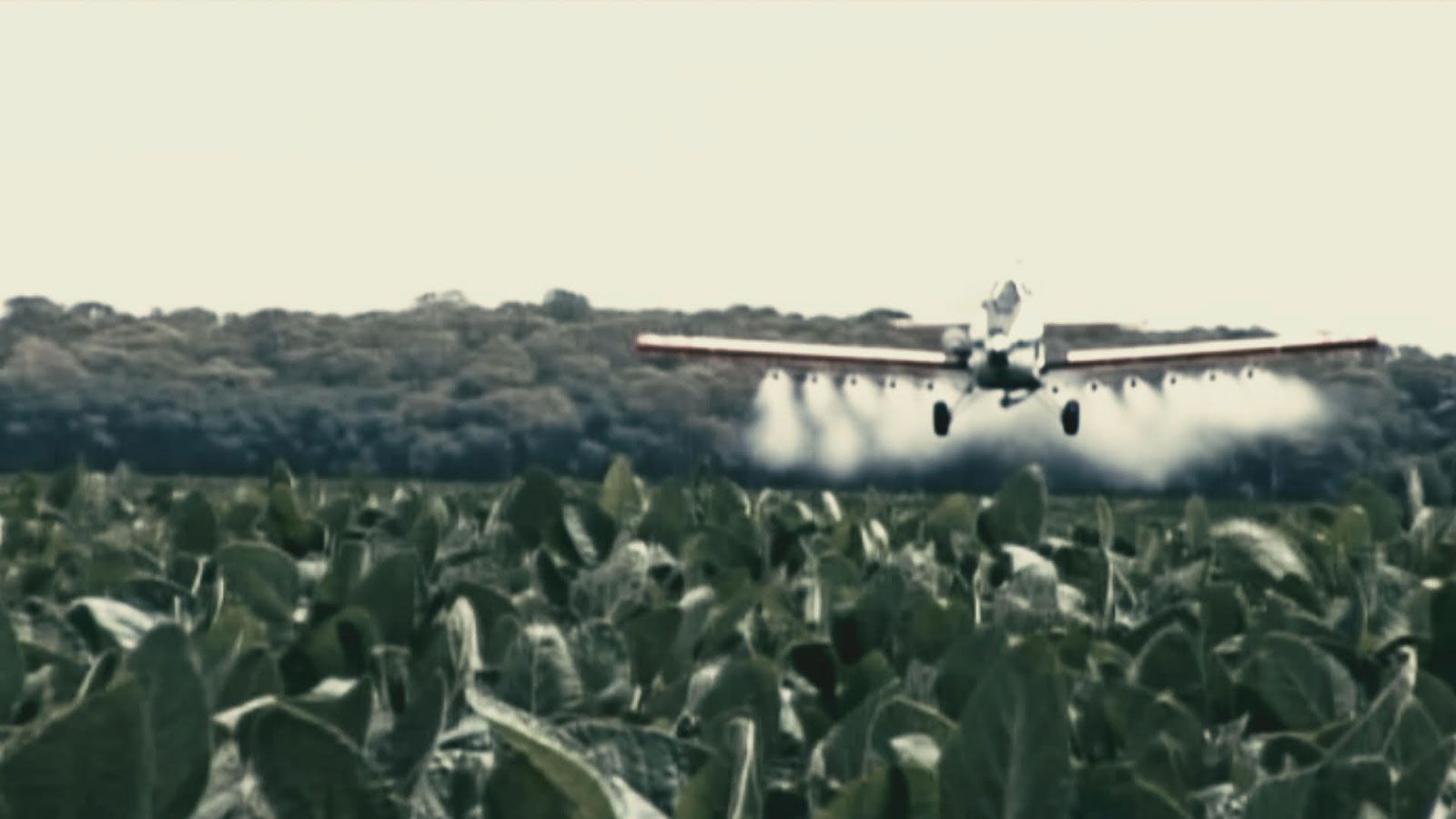 Viaje a los Pueblos Fumigados resimleri - Fotoğraf 6 - Beyazperde.com