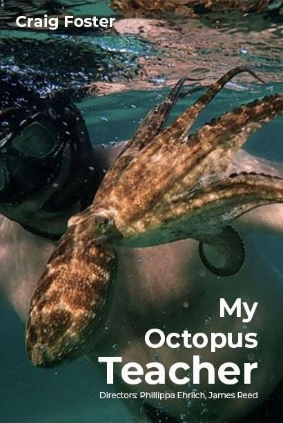 My Octopus Teacher - Belgesel film 2020 - Beyazperde.com