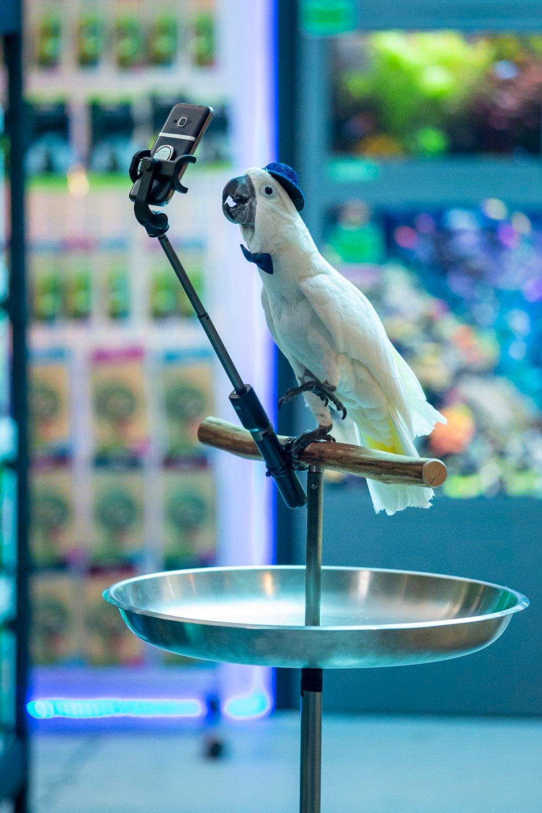 Cats & Dogs 3: Paws Unite resimleri - Fotoğraf 1 - Beyazperde.com