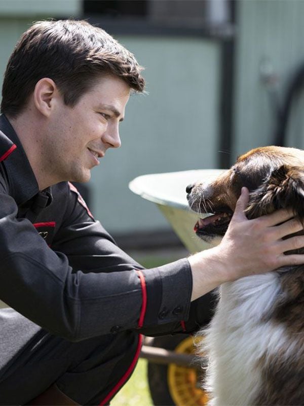 Kurtarma Köpeği Ruby - Rescued by Ruby - Beyazperde.com