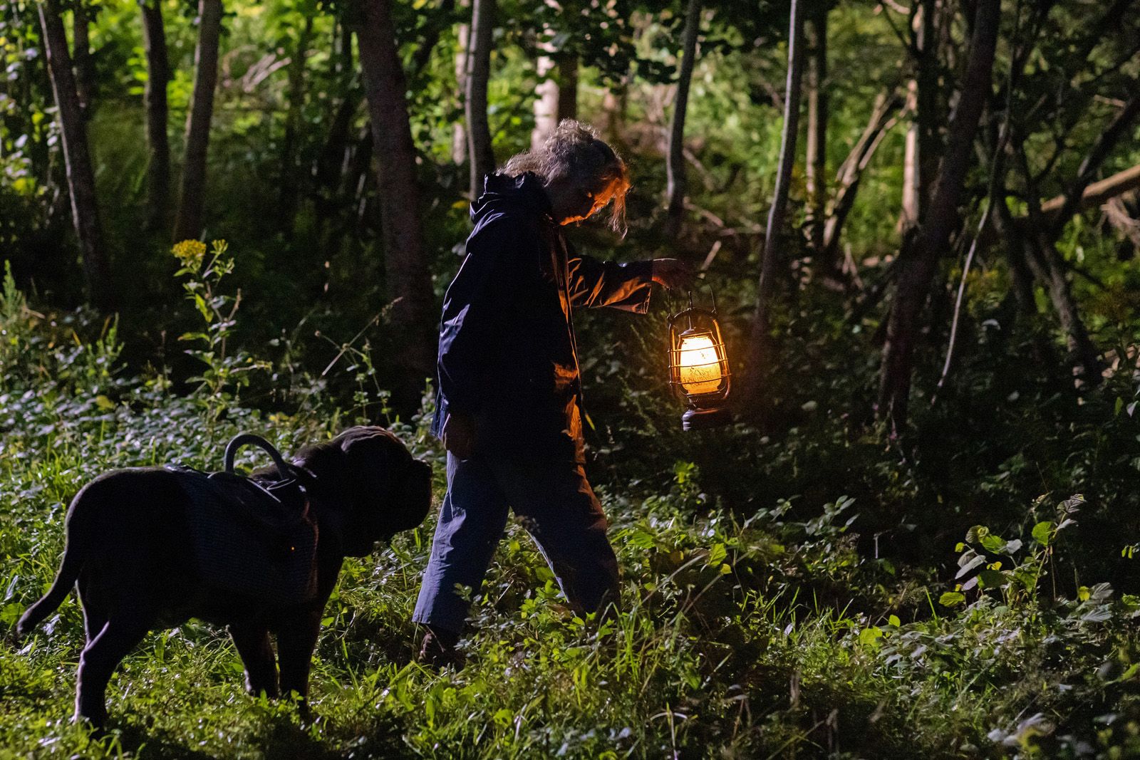 Mon chat et moi, la grande aventure de Rroû resimleri - Fotoğraf 5 - Beyazperde.com