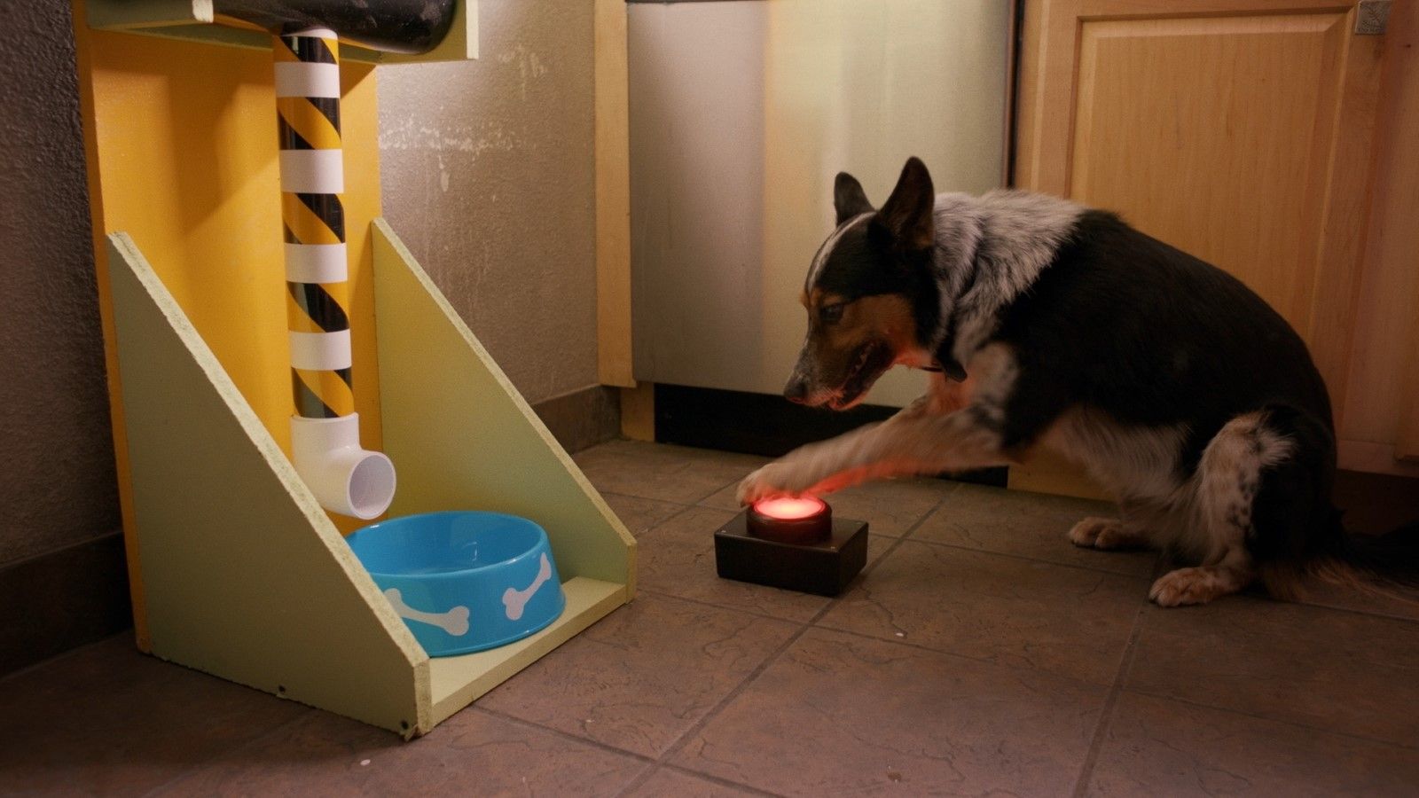 Pups Alone resimleri - Fotoğraf 3 - Beyazperde.com