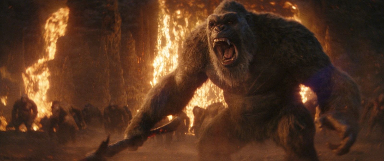 Godzilla ve Kong: Yeni İmparatorluk resimleri - Fotoğraf 2 - Beyazperde.com