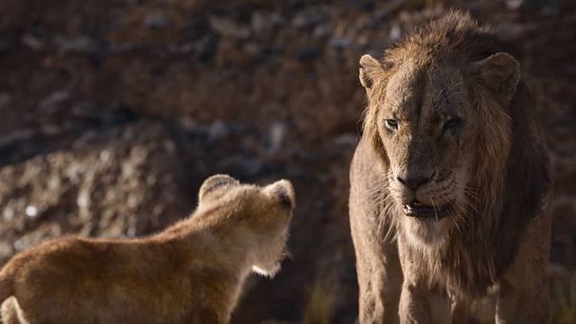 "Aslan Kral"dan İki Yeni Klip Geldi - Haberler - Beyazperde.com