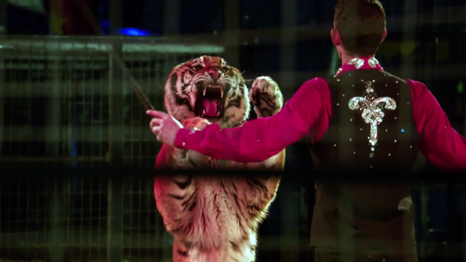 Zoo Trailer - Fragman Zoo - Beyazperde.com